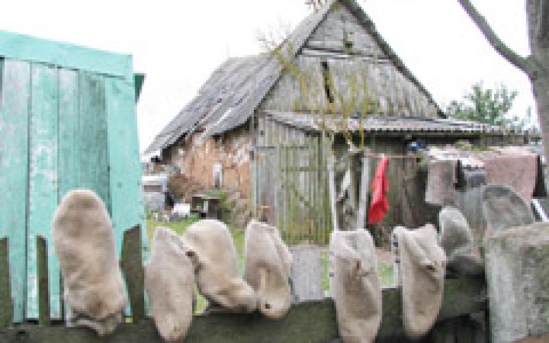 Pasidalinta našta yra lengvesnė | Šiaulių kraštas