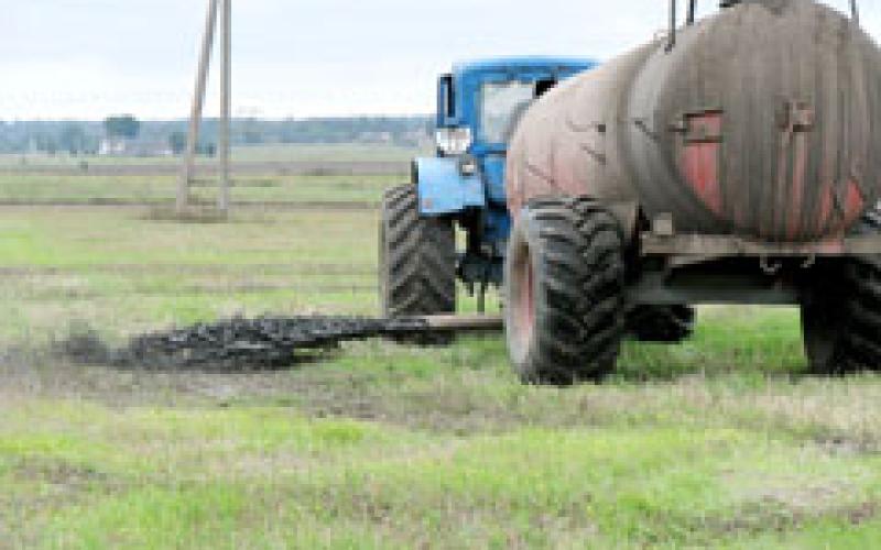 Srutos nepasiekė tik Vilniaus | Šiaulių kraštas