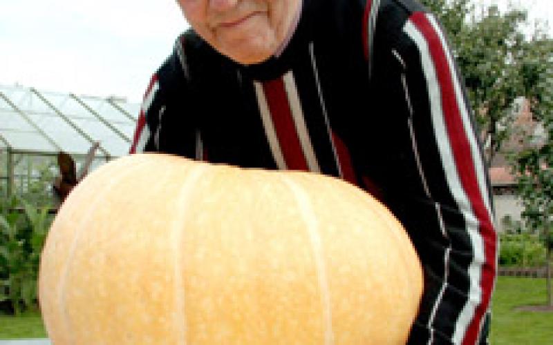 Senolis užaugino įspūdingą moliūgą | Šiaulių kraštas