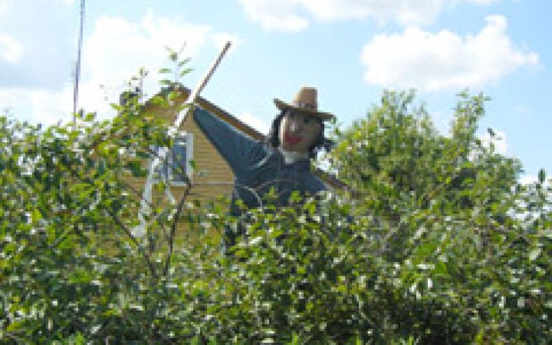 Vyšnių festivalio svečius žavėjo unikalus kaliausių konkursas | Šiaulių ...
