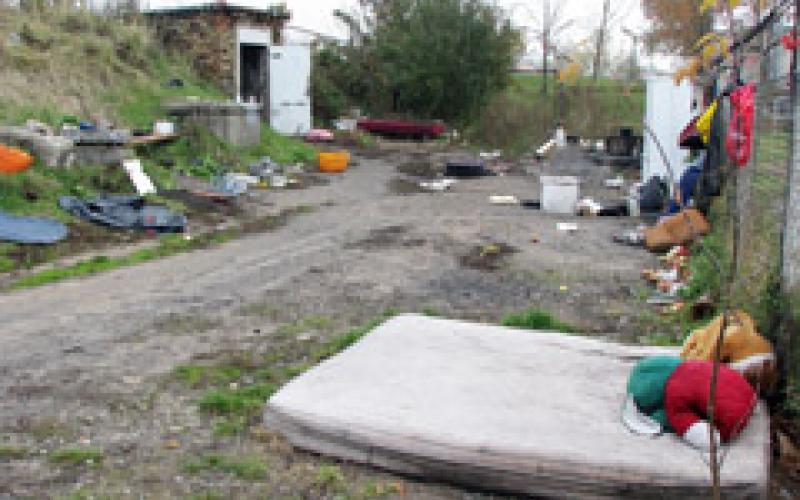 Basi ant sniego | Šiaulių kraštas