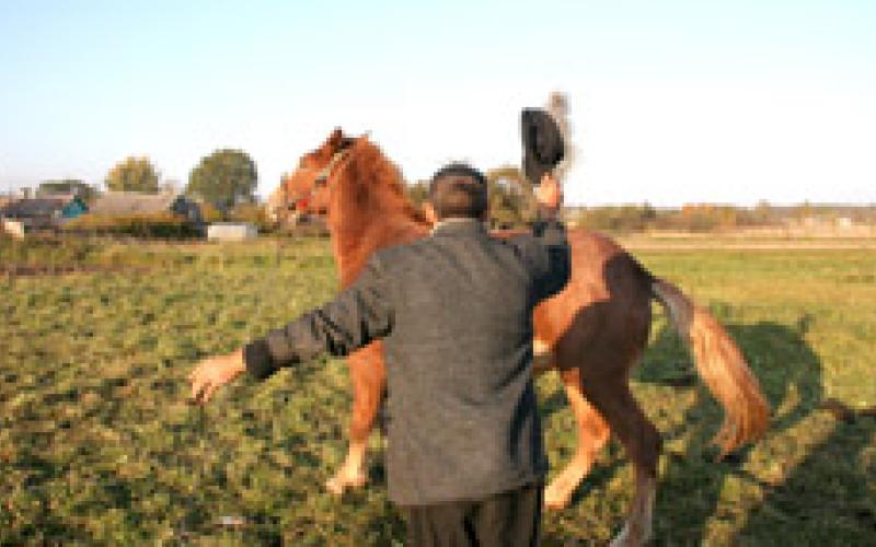 Sunkmečio šluotą ima ir čigonai | Šiaulių kraštas