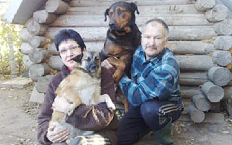 Buvusi darbovietė tapo šunų namais | Šiaulių kraštas