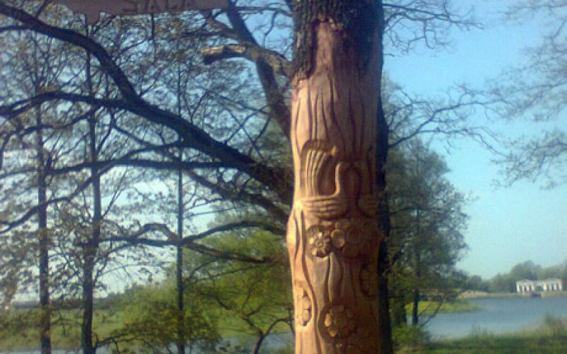 Ąžuolui dovanojo naują gyvenimą | Šiaulių kraštas