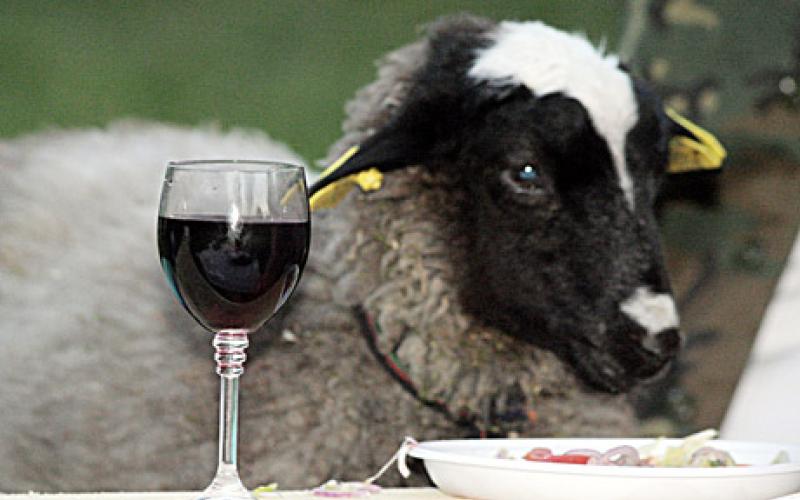 Blaivaus kūno nepakanka | Šiaulių kraštas