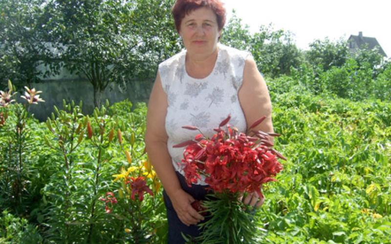 Sode pražydo įspūdinga lelija | Šiaulių kraštas