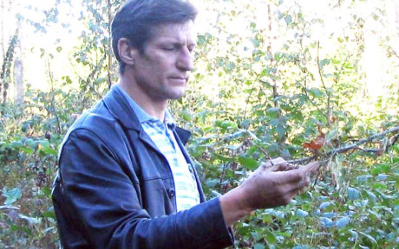 Miško buveinės – rojus augalams ir gyvūnams | Šiaulių kraštas