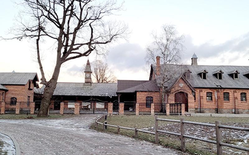 PANEIGIMAS | Šiaulių kraštas