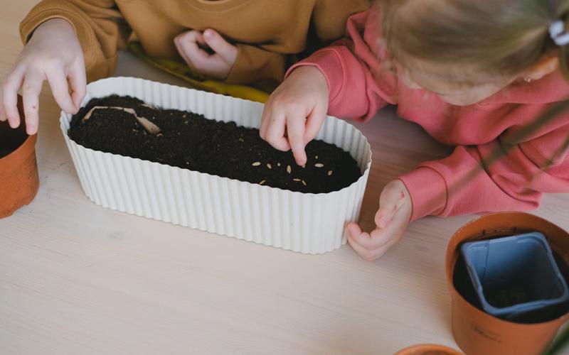 Retesnių daržovių sėja: smidrai, pastarnokai, afrikiniai agurkai ir ...